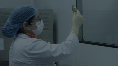 Valence Labs - Unleashing Potential with Seamless API Solutions